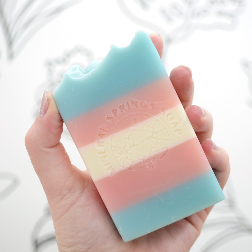 Everyday is Pride – Mineral Springs Soap